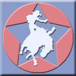 SWTX Directory Category Results Page